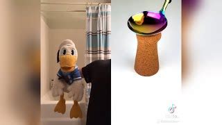 Donald Ducc Reacts To Satisfying Tiktoks Do Not Laugh Doovi