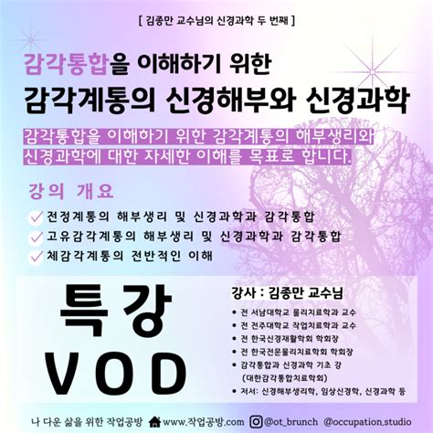 [작업공방 특강] 감각통합을 이해하기 위한 감각계통의 신경해부와 신경과학 온 오프라인 특강 25년 감각계통 신경과학 책 출간 기념 특강 나다운삶을위한작업공방