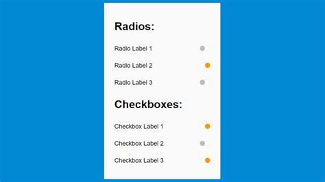 100 Css Radio Buttons
