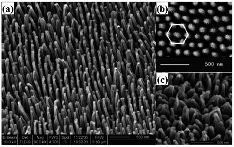 SEM Images Of The Replicated PMMA Films With Nano Nipple Arrays On The Download Scientific