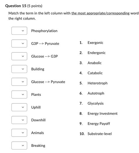 Solved Question 15 5 ﻿points ﻿match The Term In The Left