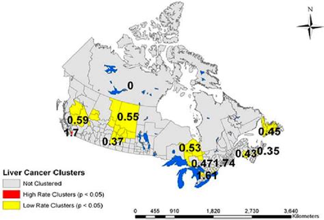 Cluster Identification Of Liver Cancer Cases In Canada Between 1996 And