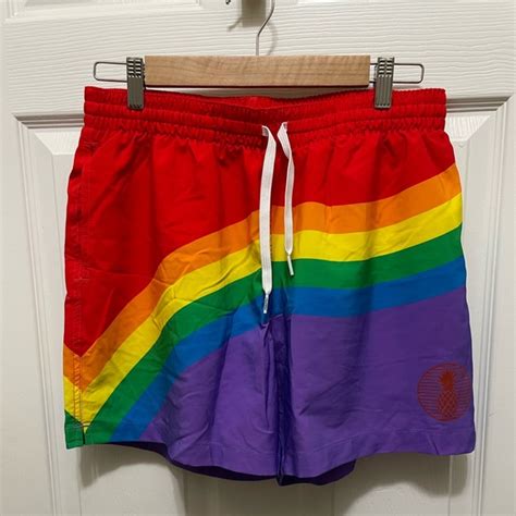 Chubbies Shorts Mens Chubbies Rainbow Stripe Pride Swim Shorts