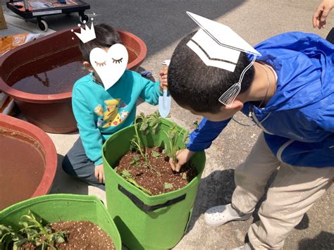 리디쌤교육과정 교육과정 재구성 교과연계수업 그림책활용 수업 후속활동 화분심기 프로그램그림책 고구마구마 후속활동 고구마 심기 네이버 블로그