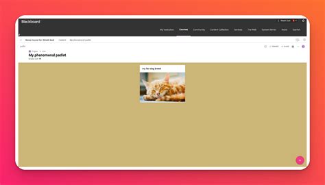 Connect Padlet To Blackboard LMS For Padlet Com Accounts Padlet Knowledge Base Support