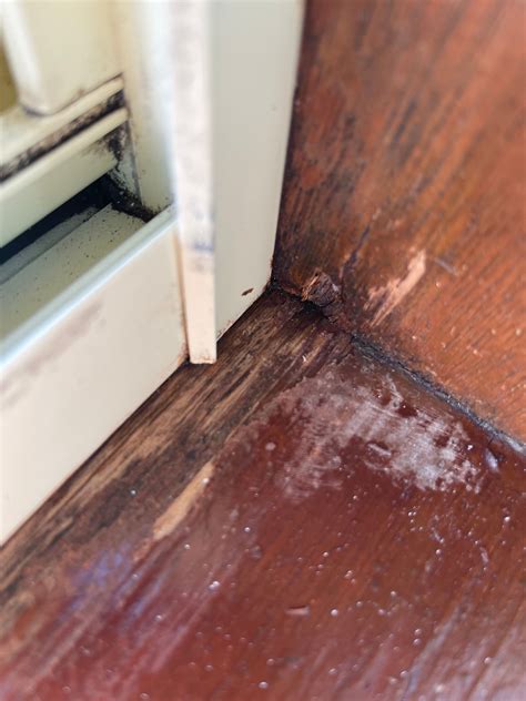 How To Seal Timber Window Frames Bunnings Workshop Community