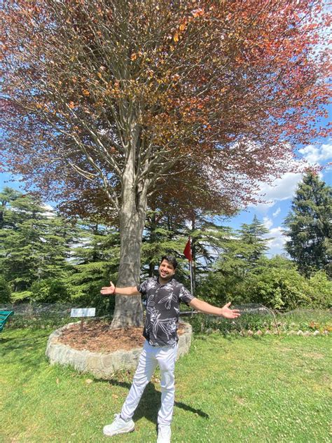 Frontenddevelopment Webdevelopment Careergoals Programming Codingcommunity Shubham Jain