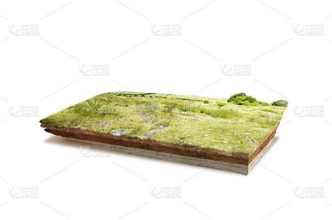 地下土层为横截面土顶部为草甸