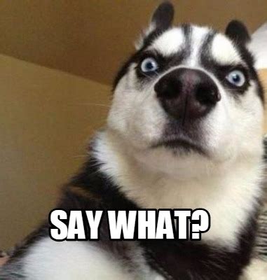 My Website Off Topic Arduboy