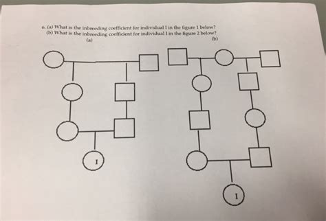 Solved 6 A What Is The Inbreeding Coefficient For