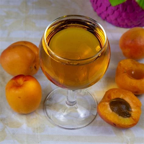 Абрикосовое вино в домашних условиях – рецепт приготовления
