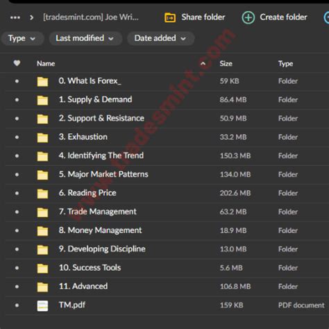 joe wright maximum lots trading course trades mint