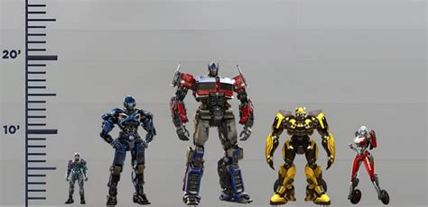Rotb Size Chart Rtransformers