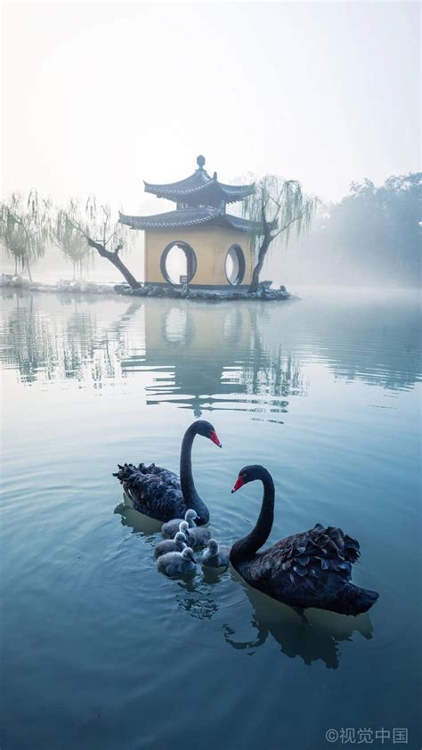 太美了！祖国的大好河山，风景如画！ 搜狐大视野 搜狐新闻