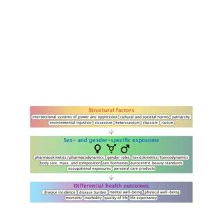 Overarching Structural Factors Create Systems That Mediate Sex And Download Scientific Diagram