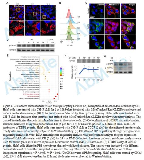 Estriol Oestriol Cas 50 27 1 Abmole Bioscience Estriol Price