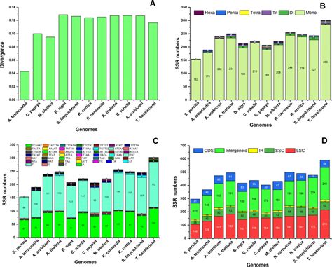 evolutionary sequence divergence and simple sequence repeats ssr