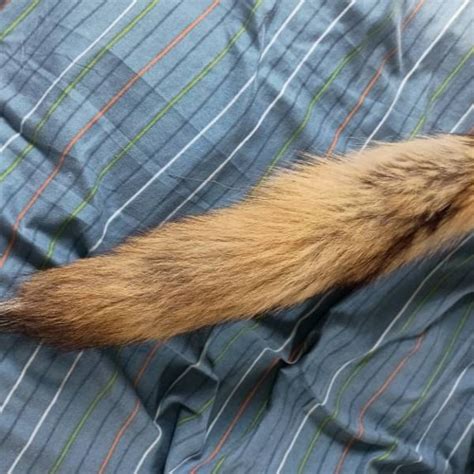 38 Drive Socket Driver Handle Keychain Etsy