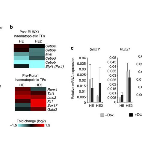 RUNX1 ETO Induction Disturbs Differentiation Dependent Gene Expression
