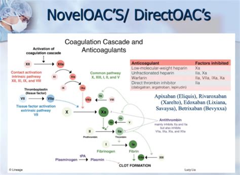Surg Endocarditis Abs Anticoagulants Mronj Flashcards Quizlet