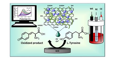 Polyanilinegraphene Oxide Composites Decorated With Zro2 Nanoparticles