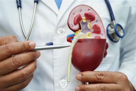 A Guide To Common Urologic Tests Alliance Urology