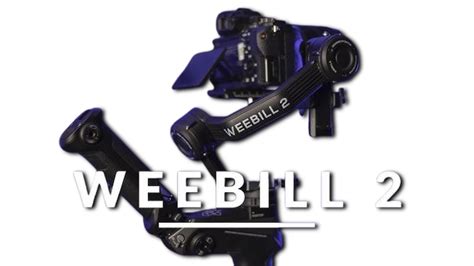 Weebill 2 Cam