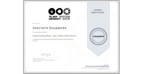 Anastasiia B On Linkedin Completion Certificate For Understanding