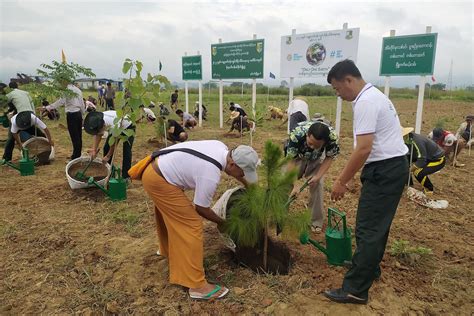 နမ့်ခမ်းမြို့၌ ကမ္ဘာ့ပတ်ဝန်းကျင်ထိန်းသိမ်းရေးနေ့ အထိမ်းအမှတ် မိုးရာသီ သစ်ပင်စိုက်ပျိုးပွဲ ကျင်းပ