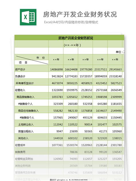 房地产开发企业财务状况图片 财务报表 EXCEL模板 图行天下素材网