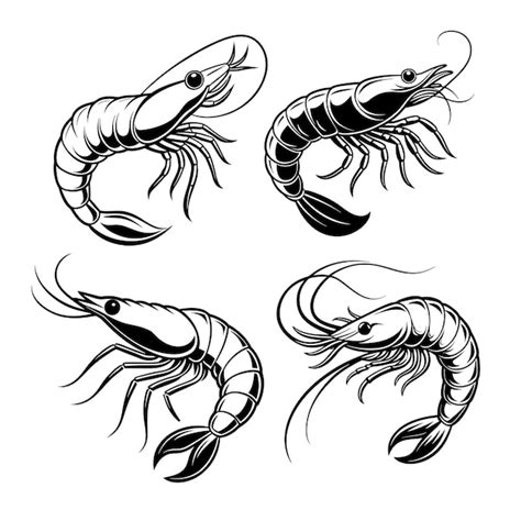 Shrimp Vector Design Premium Ai Generated Vector