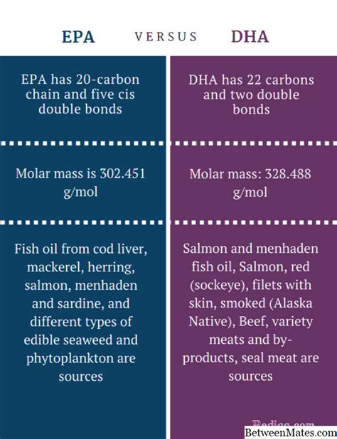 ALA и DHA БИОЛОГИЯ 2025