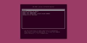 How To Fix Ubuntu Not Detecting Windows 10 Partition During Install