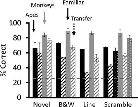 Figure 1 From Similar Stimulus Features Control Visual Classification