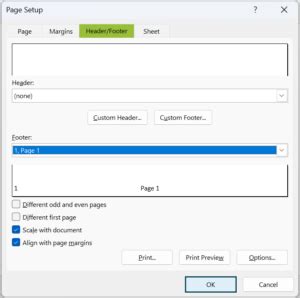 Page Numbers In Excel Examples How To Add Insert Reset