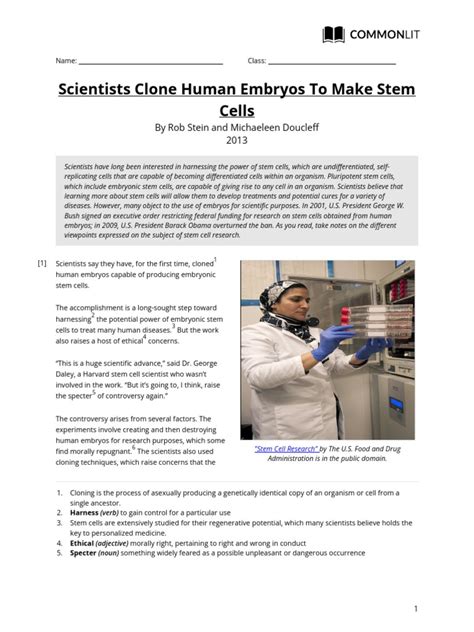 Scientists Clone Human Embryos To Make Stem Cells Teacher 12 Pdf