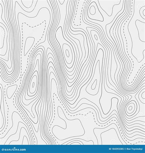 Contour Topographic Map Geographic Grid Map Background Vector Illustration Stock Illustration