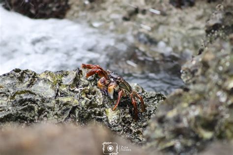 Ziad Rizwan Zizaframes • Instagram Photos And Videos