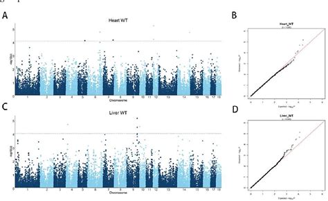 Figure 1 From Integrated Single Trait And Multi Trait Gwass Reveal The Genetic Architecture Of