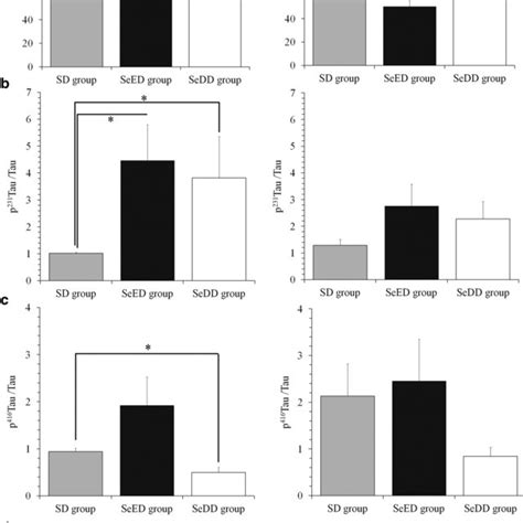 The Hippocampal Trisynaptic Circuit Based On Extensive Anatomical And Download Scientific