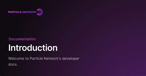 Introduction Particle Network Docs