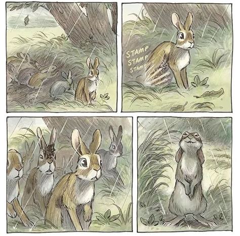 Watership Down Graphic Novel Richard Adams James Strum