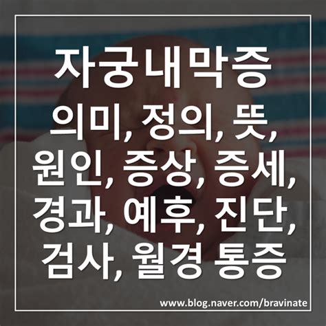 자궁내막증 의미 정의 뜻 원인 증상 증세 경과 예후 진단 검사 월경 통증 네이버 블로그