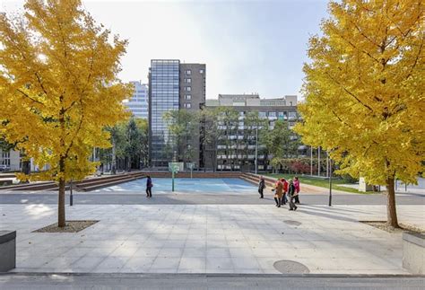 北大附中及朝阳未来学校校园景观改造设计 Crossboundaries 花瓣网