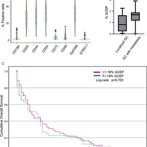 Determination Of Stem Cell Markers And Their Relationship With The
