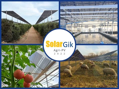 Noam Schwartz Posted On Linkedin