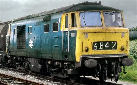 Class 35 Hymek Hattons