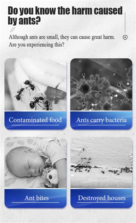 【ready Stock】kill All The Ants In The House Ant Killer Ant Poison Ant