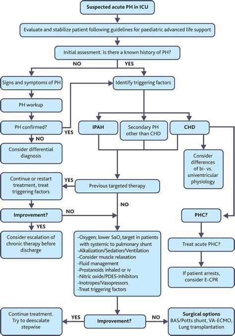 Pulmonary Hypertension In The Intensive Care Unit Expert Consensus