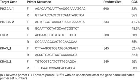 Primers Used For Detection Of Gene Mutation Download Scientific Diagram